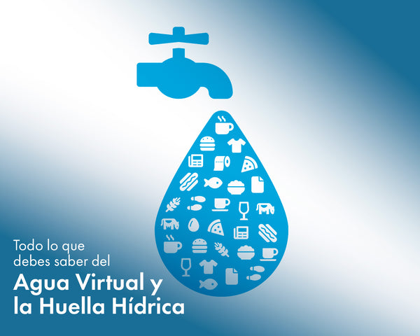 Todo lo que Debes Saber del Agua Virtual y la Huella Hídrica. – Alxedo